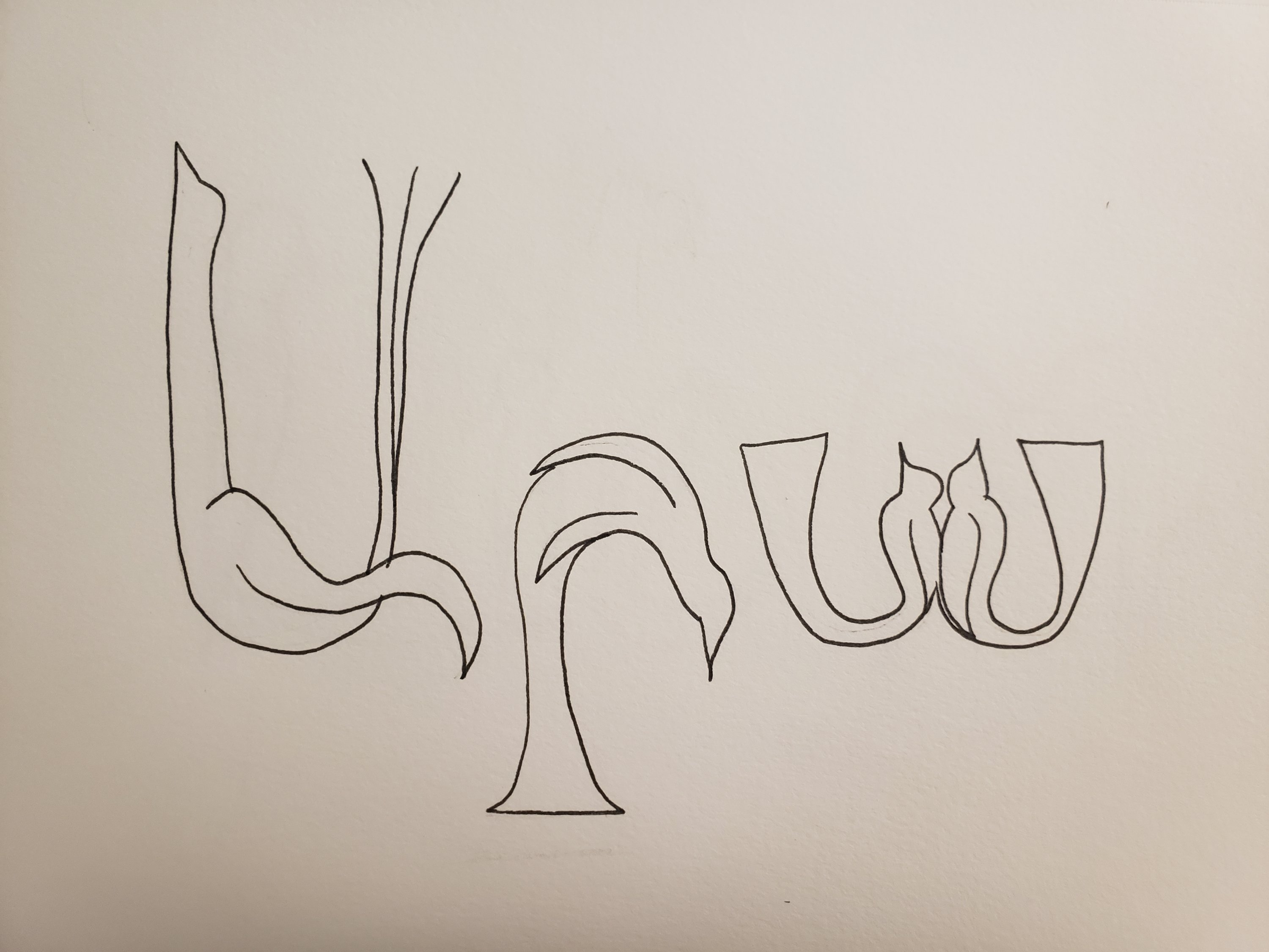 More trchnakir sketches – Hye Home